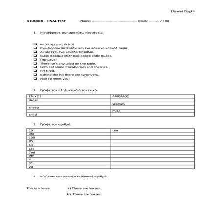 Junior B Final Test | PDF