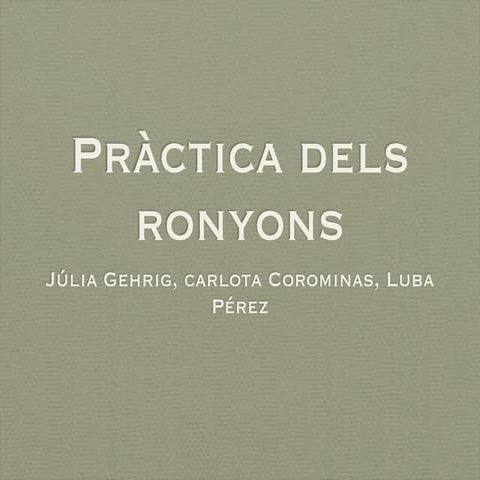 Pràctica dels ronyons | KEY
