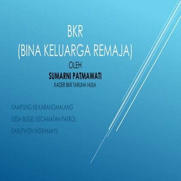 kampung kb patrol indramayu remaja BKR.pptx