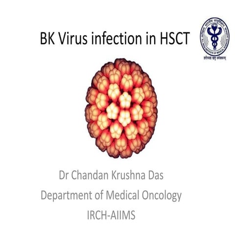 Bk virus nephropathy