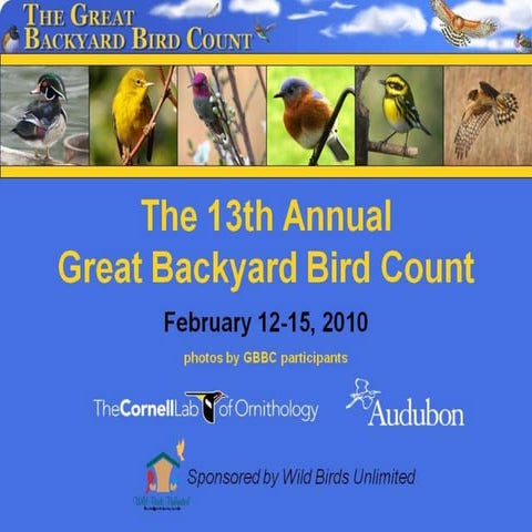 The Great Backyard Bird Count | PPSX | Birdwatching | Hobbies & Interests