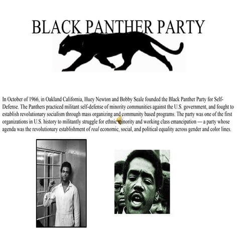 Black Panthers | PPT