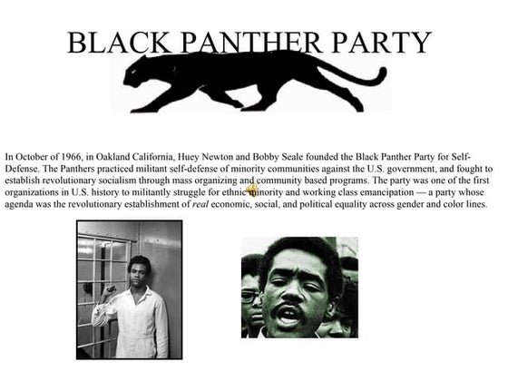 Black panthers | PPTX