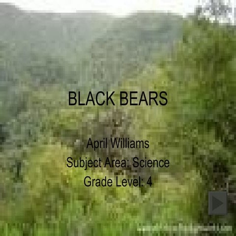 Blackbears | PPT