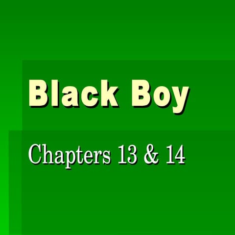 Black Boy Chapter 1 | PPT