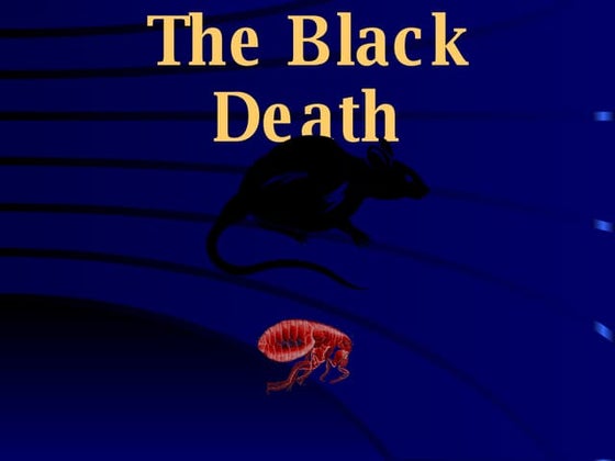 Haircolor Packaging Renderings | PPT