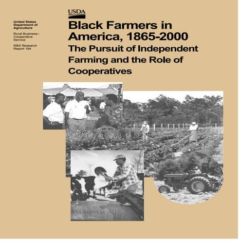 Black farmers in america 1865 2000 | PDF