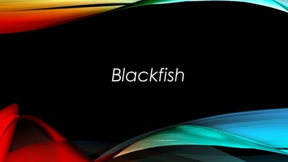 Black Fish Documentary Analysis | PPTX | Documentary | Genres