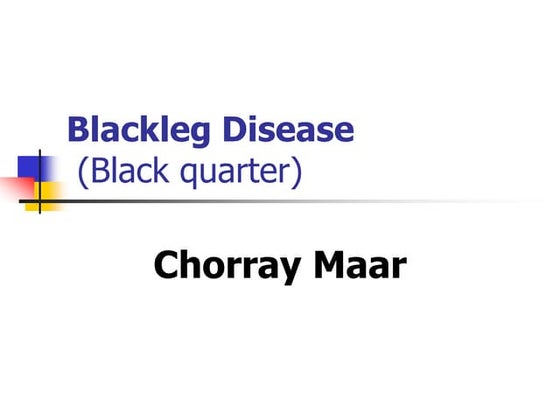 Black quarter (bq) | PPT | Infectious Diseases | Diseases and Conditions