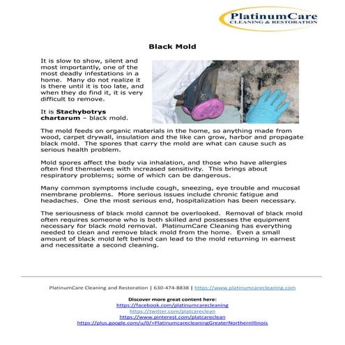 Effective Strategies for Mold Removal Service | PPTX
