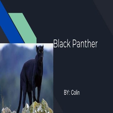 Black Panther | PPTX
