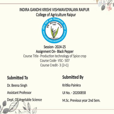 Black Pepper.pptx farminhg in horticultur igkv | PPTX