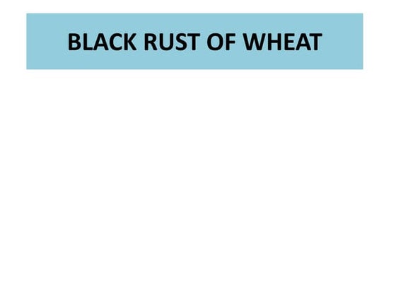 Black stem rust of wheat | PPT