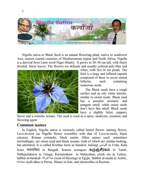 Budwig Protocol in Aha zindagi | PDF