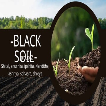 black soil.pptx ppt on black soil | PPTX