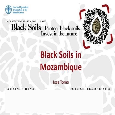 Black Soils in Mozambique - Jose Tomo | PDF