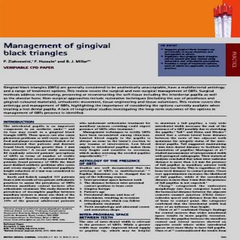 Black triangle Management Journal Presentation | PPTX