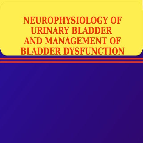 bladder anatomy and physiology and related disorders | PPTX | Brain and Nervous System Disorders ...
