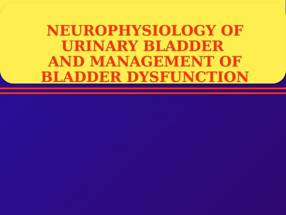 Bladder innervation | PPT