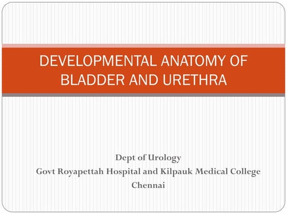 care of circumcised infant | PPT