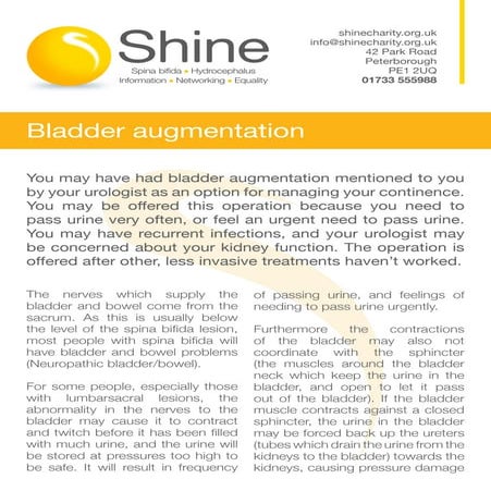 Bladder augmentation | PDF
