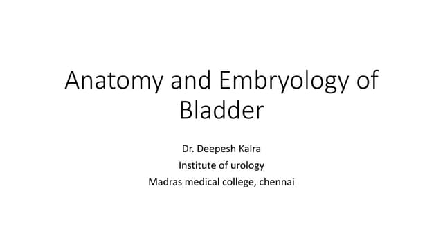 Urinary bladder (Anatomy) | PPTX