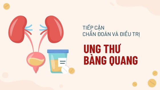 Phân độ TNM của ung thư đại - trực tràng và Ung thư dạ dày theo AJCC 8th | PDF