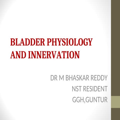 BLADDER INNERVATION,nerve supply power point | PPT