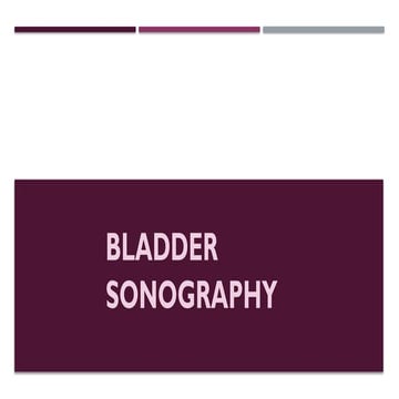 Urinary Bladder presentation_ 12345_ppt_ | PPTX