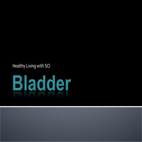 Bladder Storyboard | PPT
