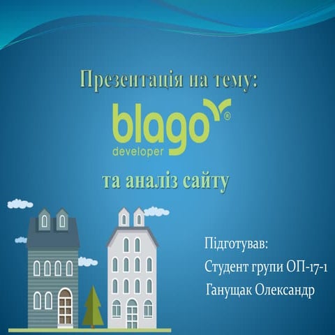 Blago developer, Музичка Анастасія.pptx