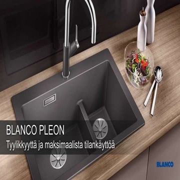 Blanco Pleon allasperheen esittely | PPTX