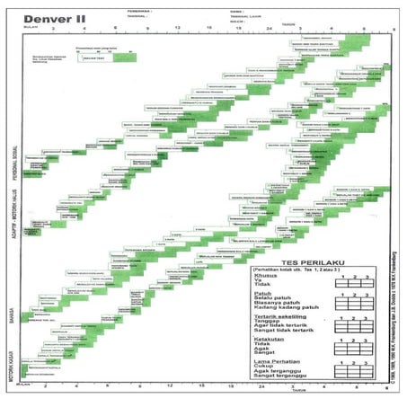 Denver ii indonesia | PDF