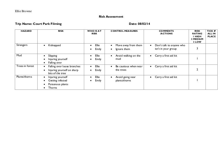Risk Assessment- Court Park