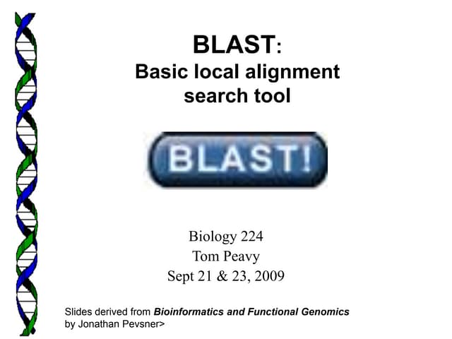 Blast Algorithm | PPTX