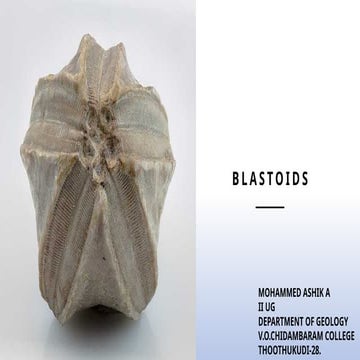 BLASTOIDS paleontology echinodermata .pptx