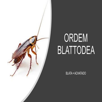 BLATTODEA.pptx
