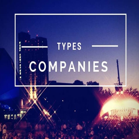 types of companies | PPTX