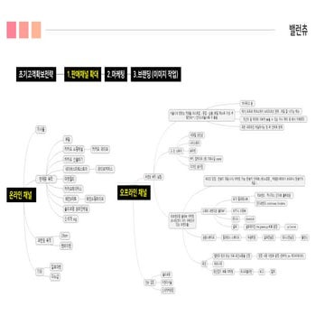 Blc 초기고객 확보방안 | PPT