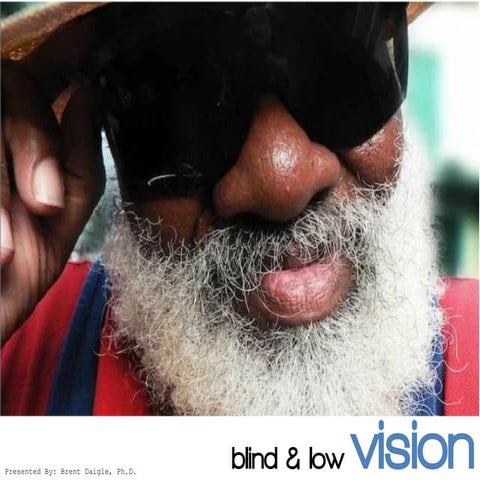 Blind & low vision | PDF
