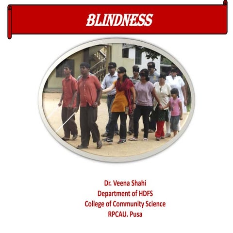 Blindness | PDF