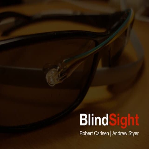 Blindsight Presentation | PDF