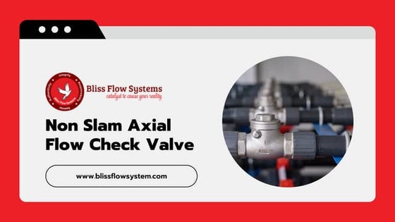Basket Strainer Supplier India -Bliss flow systems | PPT