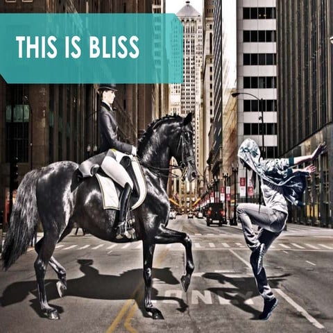 This is Bliss | PPT