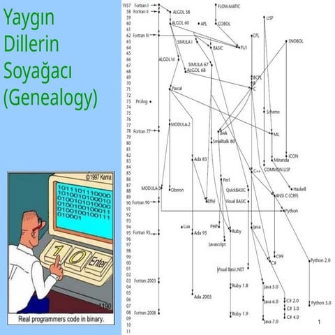 programming language software developer handbook | PPTX