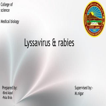 Lyssavirus & rabies presentation from biology department | PPTX