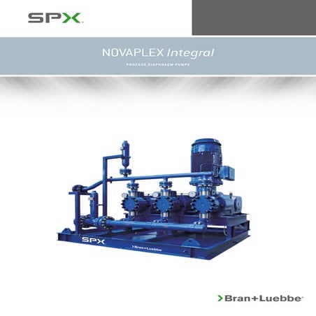 Bl novaplex integral_process_diaphragm_pumps_117_gb | PDF