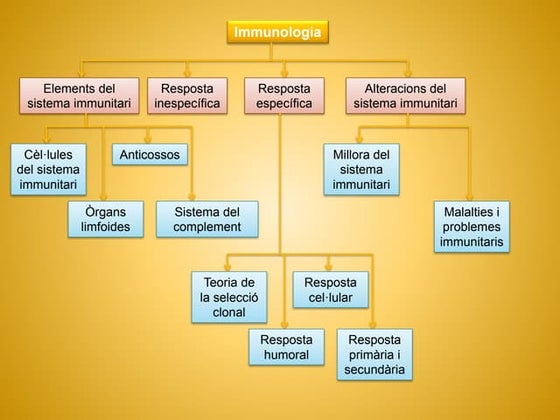 esquema sobre els tipus de sistema immunitàri | PDF