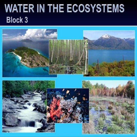 Block 3 Water in the Ecosystems | PPTX