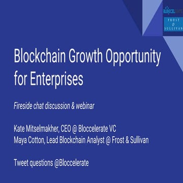 Blockchain Growth Opportunity for Enterprises | PDF